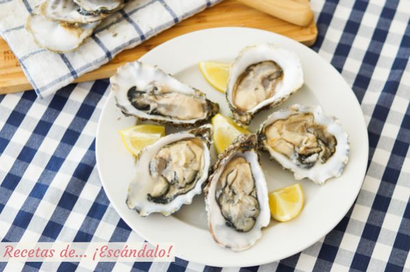 Aprende cómo abrir ostras y cómo comerlas - Recetas de ¡Escándalo!